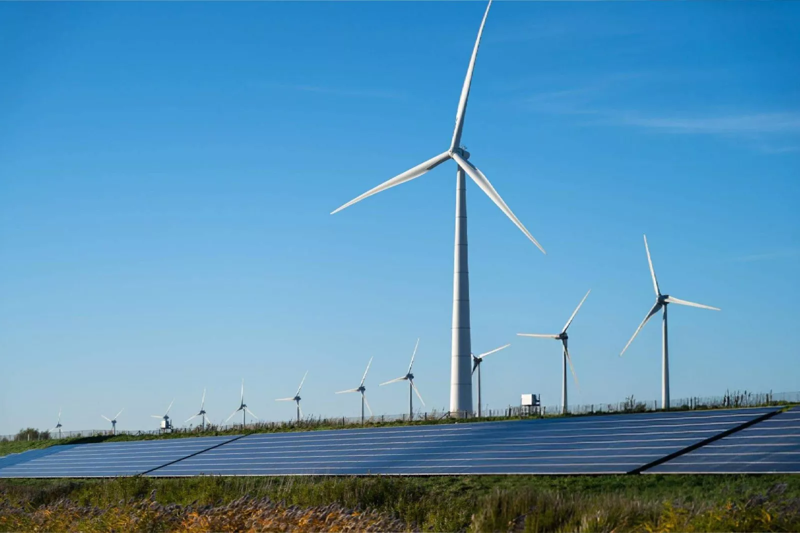 Category: Energy Transition - Xpert Training Center